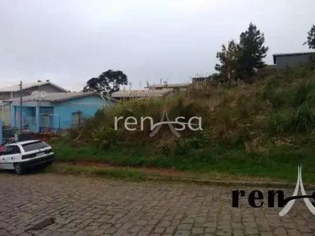 Terreno / Lote para Venda em Caxias do Sul/RS Diamantino