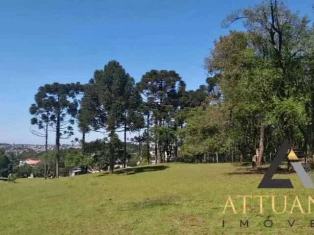 Terreno / Lote para Venda em Caxias do Sul/RS Diamantino