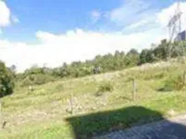 Terreno / Lote para Venda em Caxias do Sul/RS Diamantino