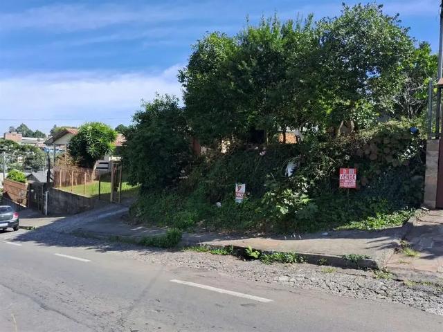 Terreno / Lote para Venda em Caxias do Sul/RS Diamantino