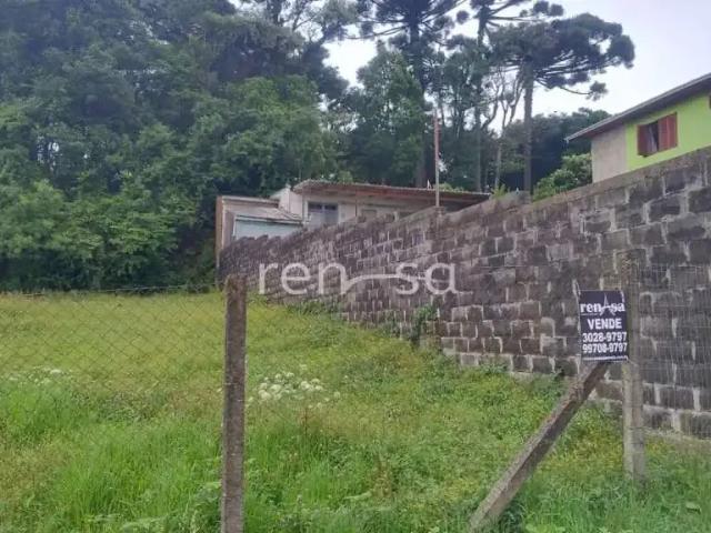 Terreno / Lote para Venda em Caxias do Sul/RS Esplanada