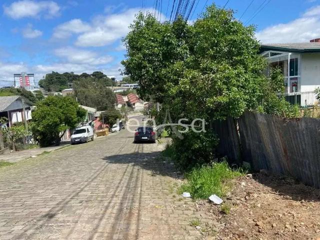 Terreno / Lote para Venda em Caxias do Sul/RS Esplanada