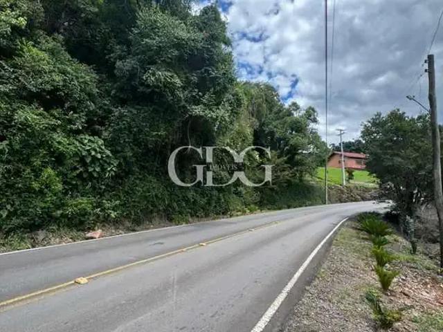 Terreno / Lote para Venda em Caxias do Sul/RS Esplanada