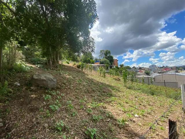 Terreno / Lote para Venda em Caxias do Sul/RS Esplanada