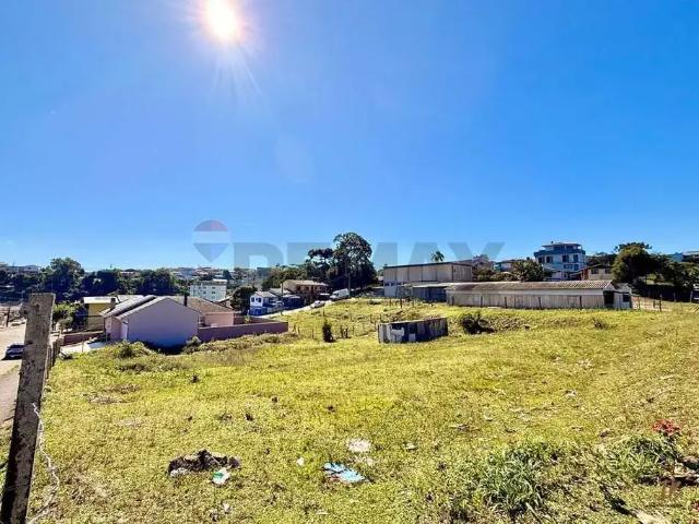 Terreno / Lote para Venda em Caxias do Sul/RS Esplanada