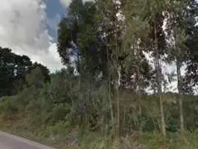Terreno / Lote para Venda em Caxias do Sul/RS Forqueta