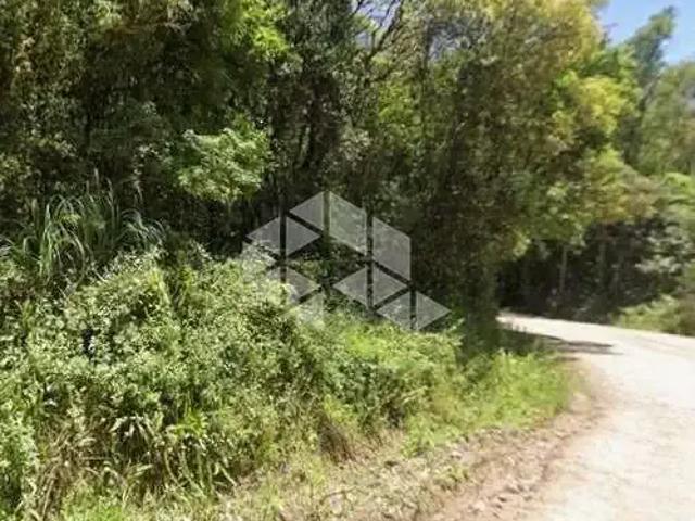 Terreno / Lote para Venda em Caxias do Sul/RS Forqueta