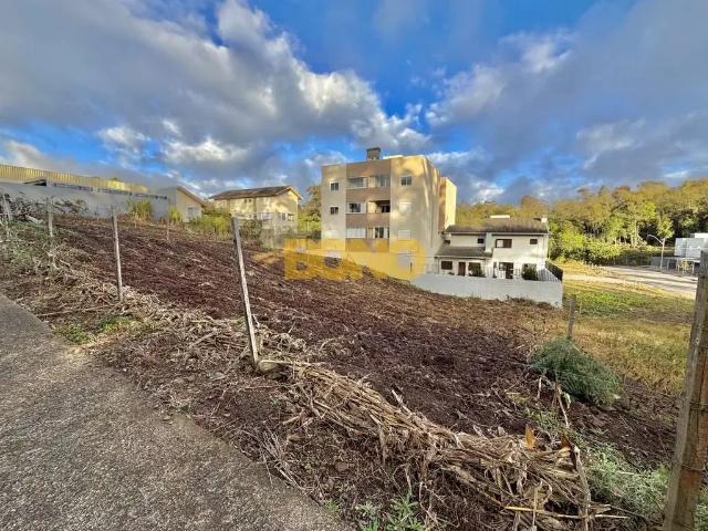 Terreno / Lote para Venda em Caxias do Sul/RS Forqueta