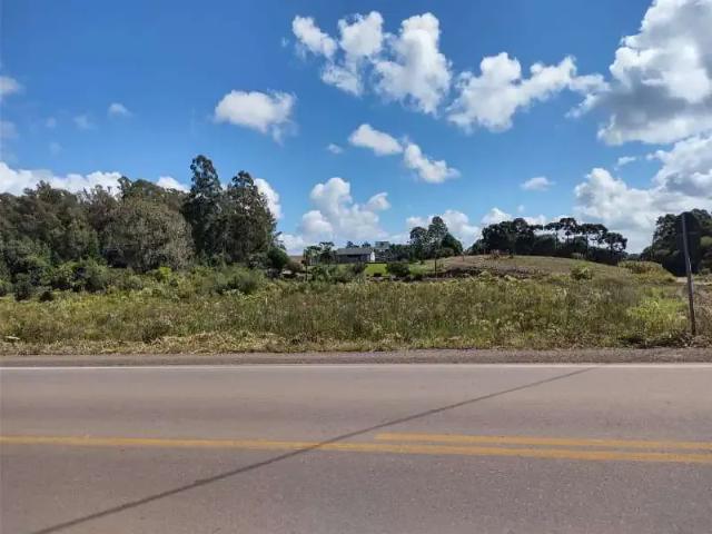 Terreno / Lote para Venda em Caxias do Sul/RS Forqueta