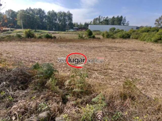 Terreno / Lote para Venda em Caxias do Sul/RS Forqueta