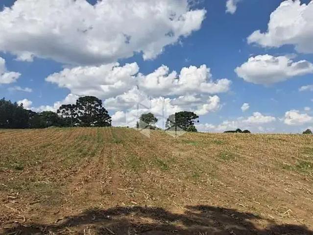 Terreno / Lote para Venda em Caxias do Sul/RS Forqueta