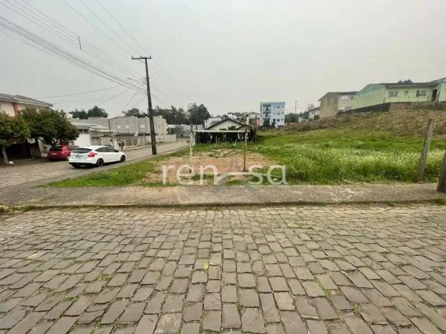 Terreno / Lote para Venda em Caxias do Sul/RS Forqueta