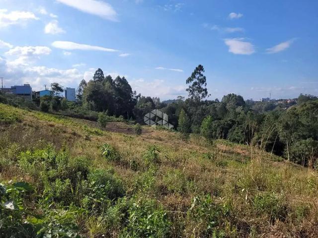 Terreno / Lote para Venda em Caxias do Sul/RS Forqueta