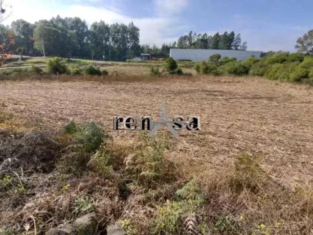 Terreno / Lote para Venda em Caxias do Sul/RS Forqueta