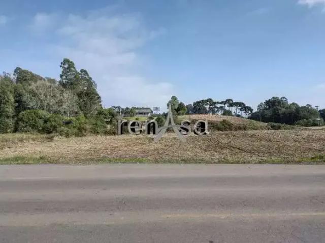 Terreno / Lote para Venda em Caxias do Sul/RS Forqueta