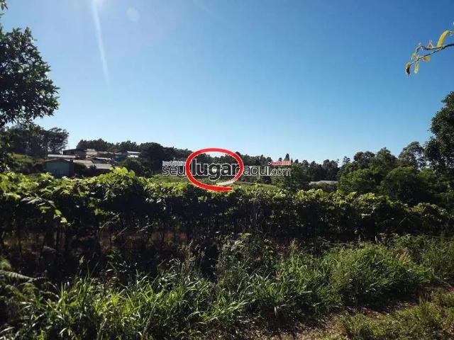 Terreno / Lote para Venda em Caxias do Sul/RS Forqueta