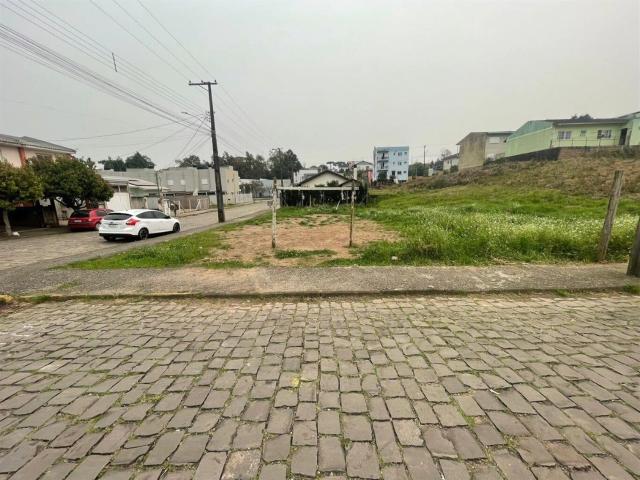 Terreno / Lote para Venda em Caxias do Sul/RS Forqueta