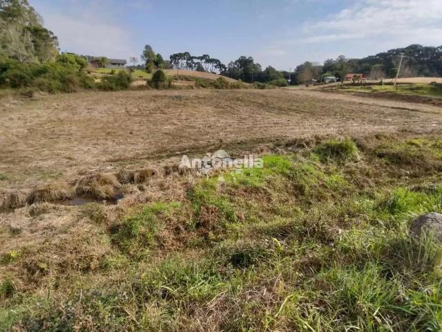 Terreno / Lote para Venda em Caxias do Sul/RS Forqueta