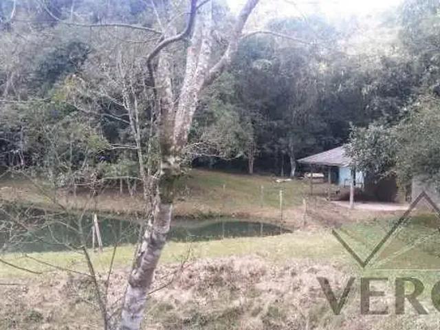 Terreno / Lote para Venda em Caxias do Sul/RS Forqueta