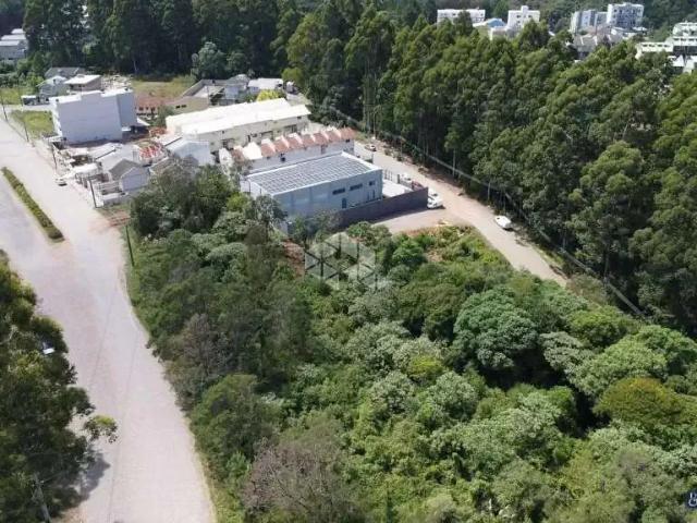 Terreno / Lote para Venda em Caxias do Sul/RS Forqueta