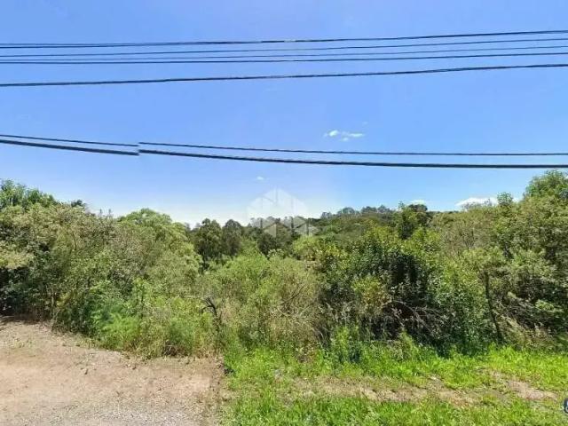 Terreno / Lote para Venda em Caxias do Sul/RS Forqueta