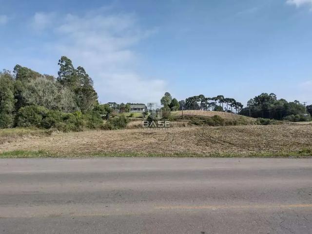 Terreno / Lote para Venda em Caxias do Sul/RS Forqueta