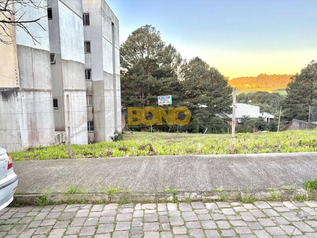 Terreno / Lote para Venda em Caxias do Sul/RS Forqueta