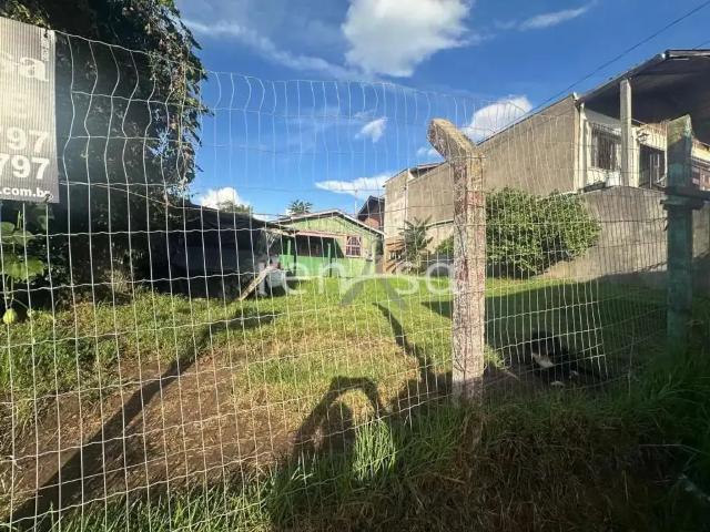 Terreno / Lote para Venda em Caxias do Sul/RS Fátima