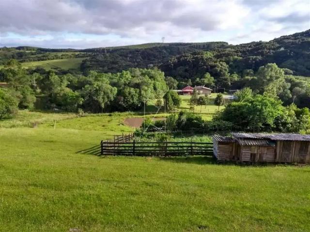 Terreno / Lote para Venda em Caxias do Sul/RS Fazenda Souza