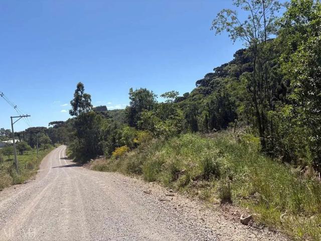 Terreno / Lote para Venda em Caxias do Sul/RS Fazenda Souza