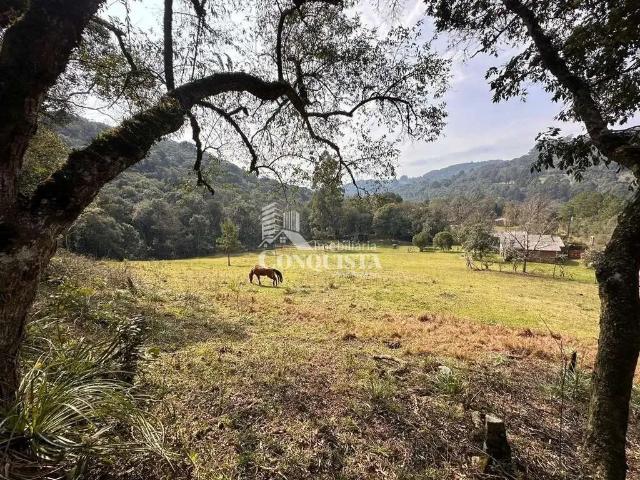 Terreno / Lote para Venda em Caxias do Sul/RS Fazenda Souza