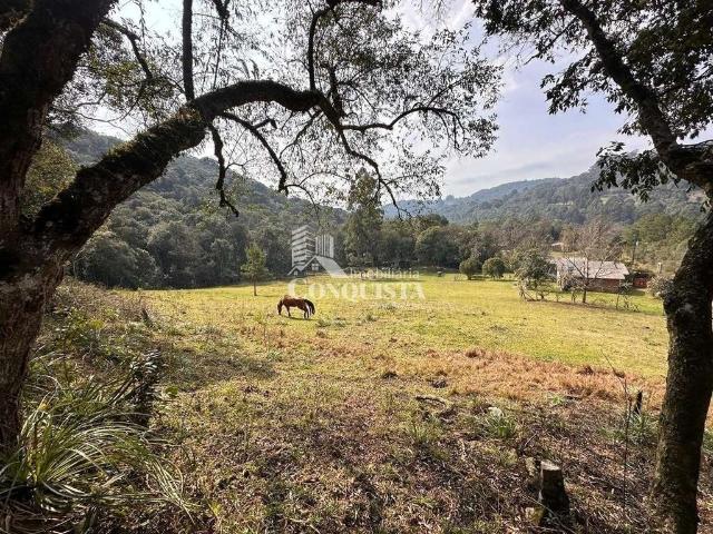Terreno / Lote para Venda em Caxias do Sul/RS Fazenda Souza