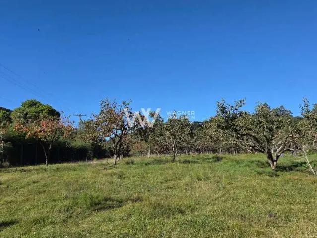 Terreno / Lote para Venda em Caxias do Sul/RS Fazenda Souza
