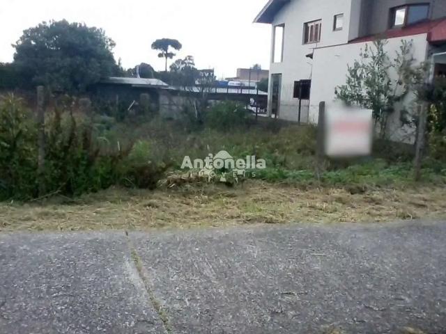 Terreno / Lote para Venda em Caxias do Sul/RS Kayser