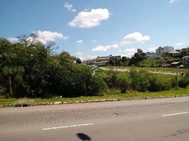 Terreno / Lote para Venda em Caxias do Sul/RS Floresta