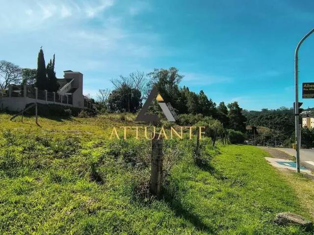 Terreno / Lote para Venda em Caxias do Sul/RS Jardim América