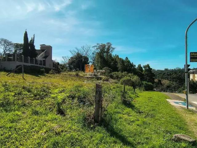 Terreno / Lote para Venda em Caxias do Sul/RS Jardim América