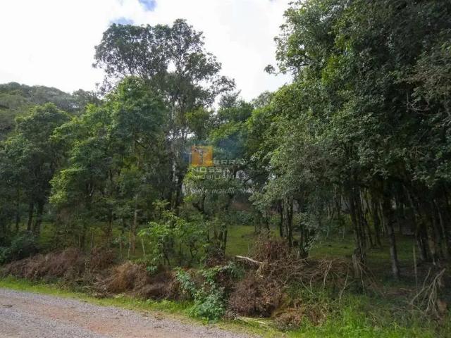 Terreno / Lote para Venda em Caxias do Sul/RS Jardim Eldorado