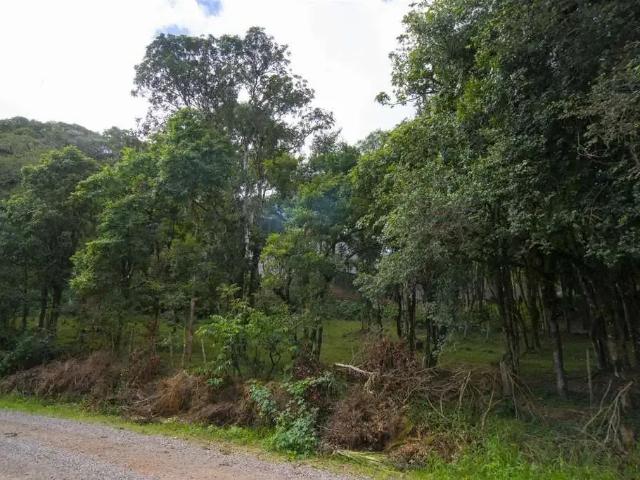 Terreno / Lote para Venda em Caxias do Sul/RS Jardim Eldorado