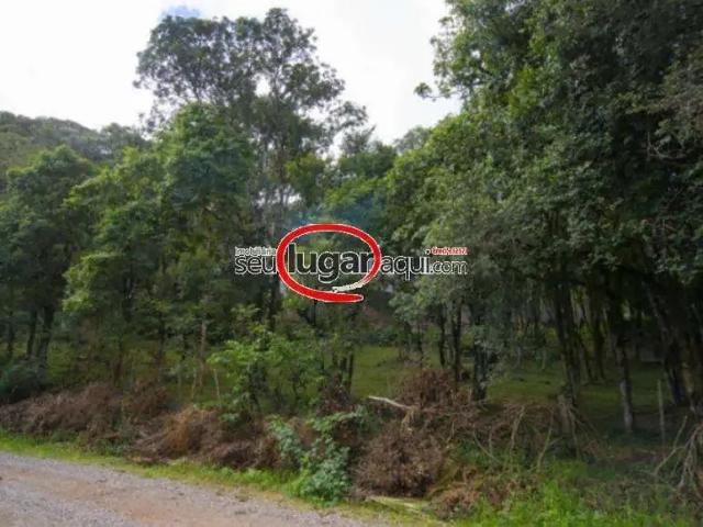 Terreno / Lote para Venda em Caxias do Sul/RS Jardim Eldorado
