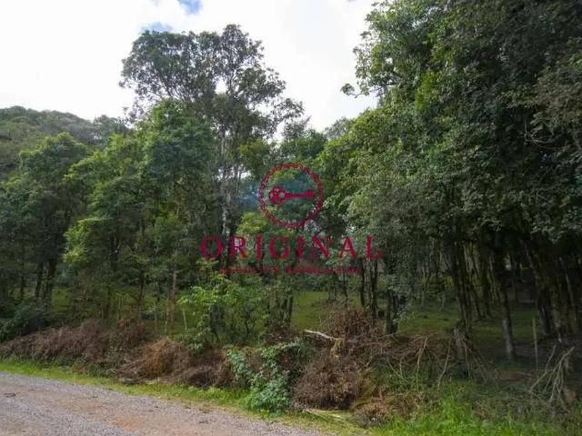 Terreno / Lote para Venda em Caxias do Sul/RS Jardim Eldorado