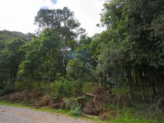 Terreno / Lote para Venda em Caxias do Sul/RS Jardim Eldorado