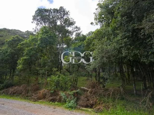 Terreno / Lote para Venda em Caxias do Sul/RS Jardim Eldorado