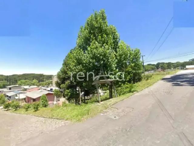 Terreno / Lote para Venda em Caxias do Sul/RS Jardim Iracema