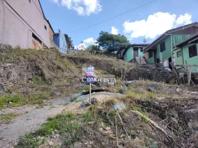 Terreno / Lote para Venda em Caxias do Sul/RS Jardim Iracema