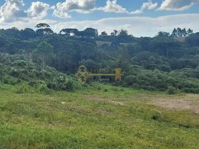 Terreno / Lote para Venda em Caxias do Sul/RS Jardim Iracema