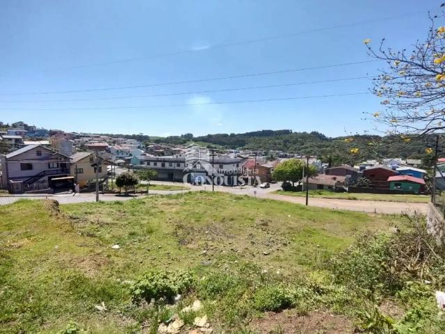 Terreno / Lote para Venda em Caxias do Sul/RS Jardim Iracema