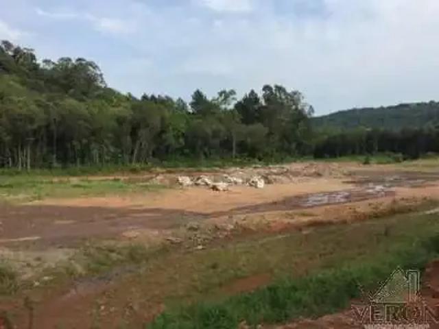 Terreno / Lote para Venda em Caxias do Sul/RS Linha 40