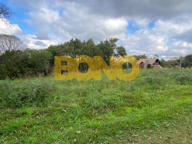 Terreno / Lote para Venda em Caxias do Sul/RS Linha 40