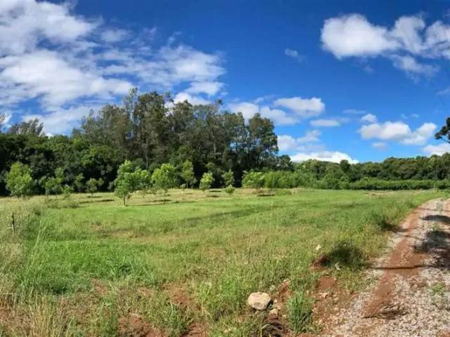 Terreno / Lote para Venda em Caxias do Sul/RS Linha 40